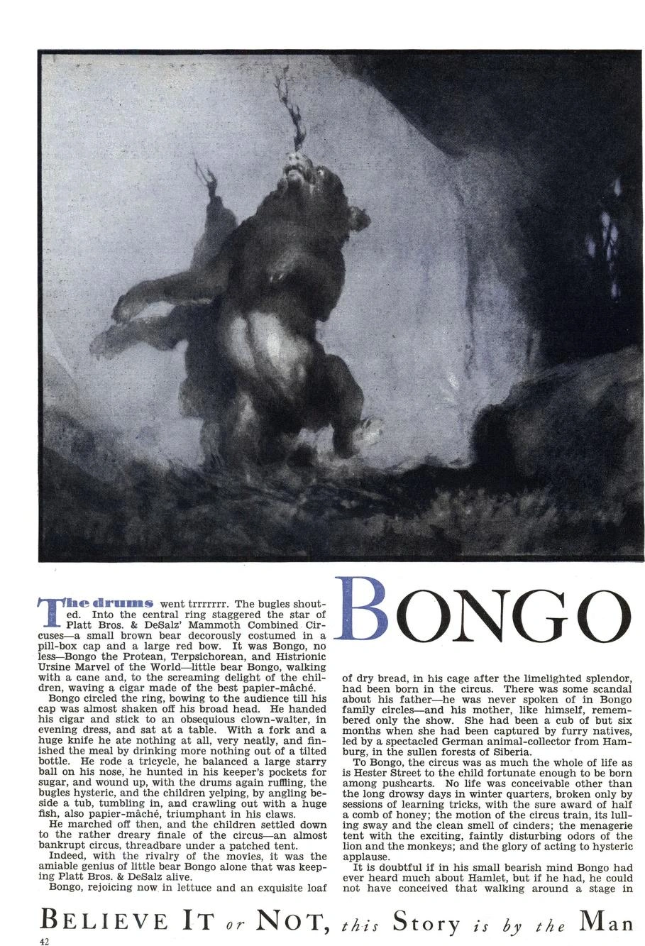 Little Bear Bongo-book movie | New ideas by Matt Weaver Wiki | Fandom