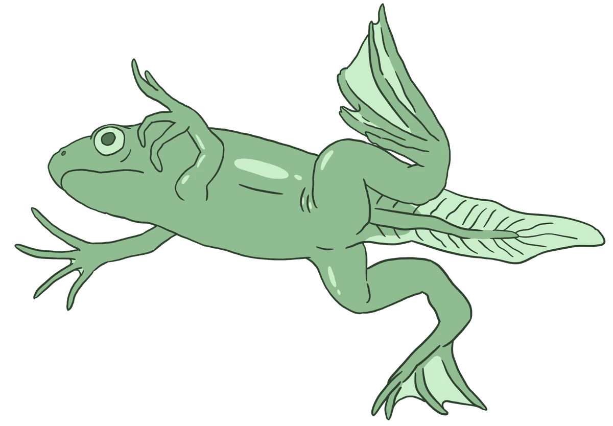 LBT-preview: small frog idea | New ideas by Matt Weaver Wiki | Fandom