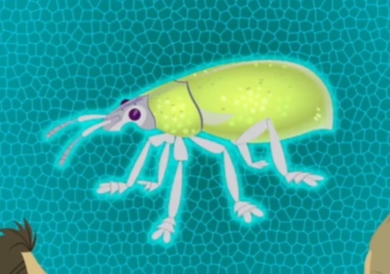 Weevils aren't so evil-wild kratts bug adventures | New ideas by Matt ...