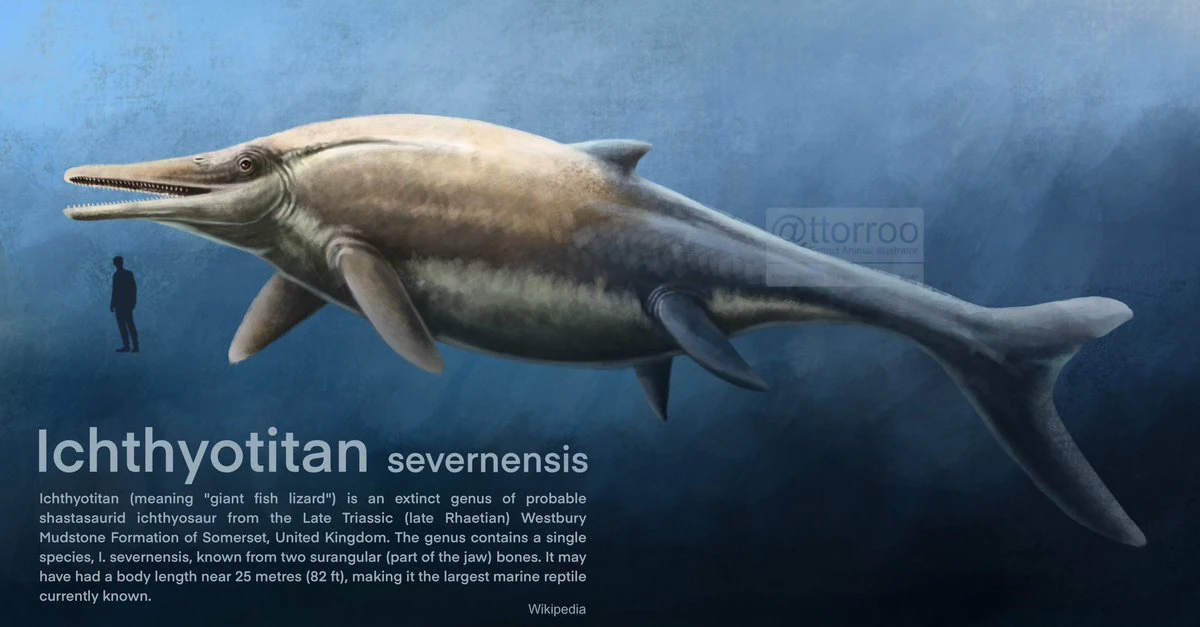 The Octonauts and the Ichthyotitan | New ideas by Matt Weaver Wiki | Fandom