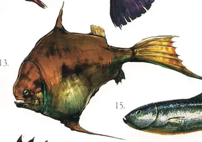 Ghoulfish | New ideas by Matt Weaver Wiki | Fandom