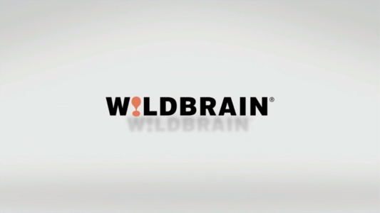 WildBrain logo-new | New ideas by Matt Weaver Wiki | Fandom