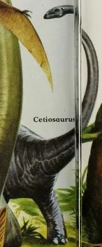 New Rourke book-Cetiosaurus | New ideas by Matt Weaver Wiki | Fandom