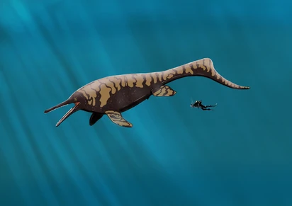 Shonisaurus | New ideas by Matt Weaver Wiki | Fandom