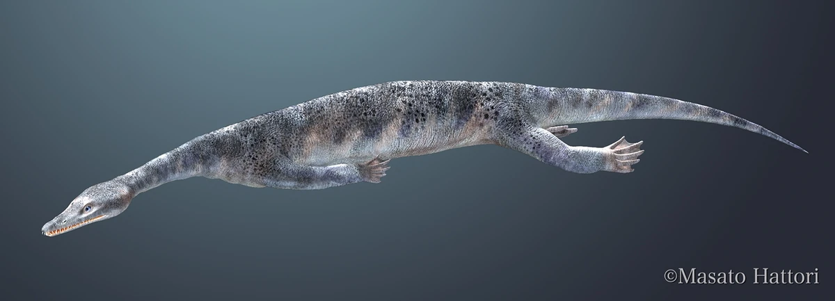 Ceresiosaurus | New ideas by Matt Weaver Wiki | Fandom