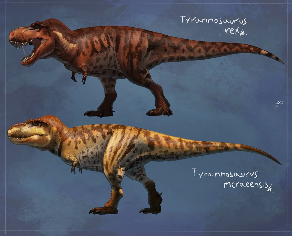 Tyrannosaurus mcraensis | New ideas by Matt Weaver Wiki | Fandom