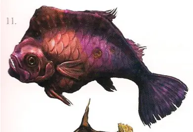 Panderichthys and other Skull island fish | New ideas by Matt Weaver ...