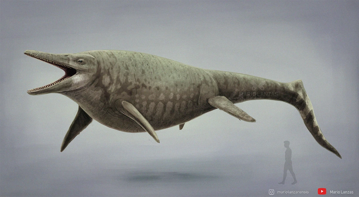 Shonisaurus | New ideas by Matt Weaver Wiki | Fandom