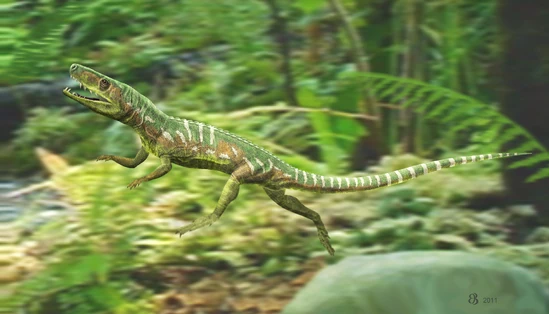 Euparkeria facts-Jurassic Kratts | New ideas by Matt Weaver Wiki | Fandom