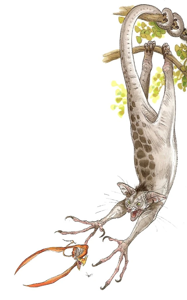 A new star wars wildlife preview 1 | New ideas by Matt Weaver Wiki | Fandom