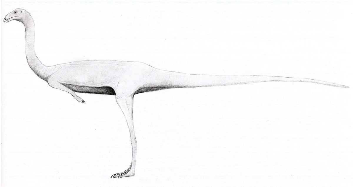 Huinculsaurus | New ideas by Matt Weaver Wiki | Fandom