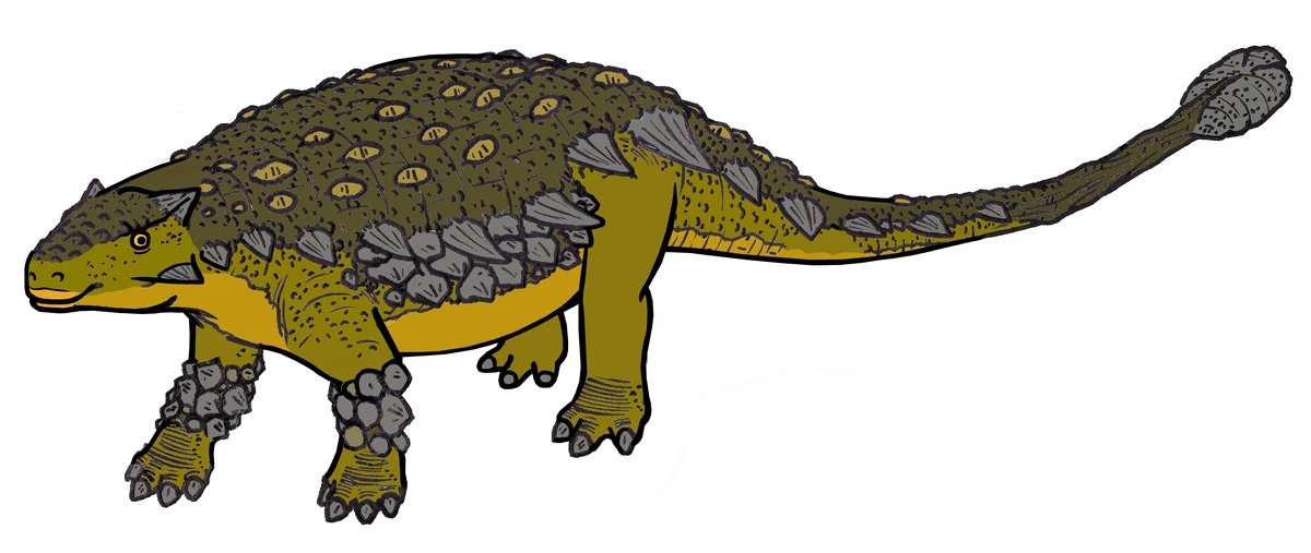 Pinacosaurus | New ideas by Matt Weaver Wiki | Fandom