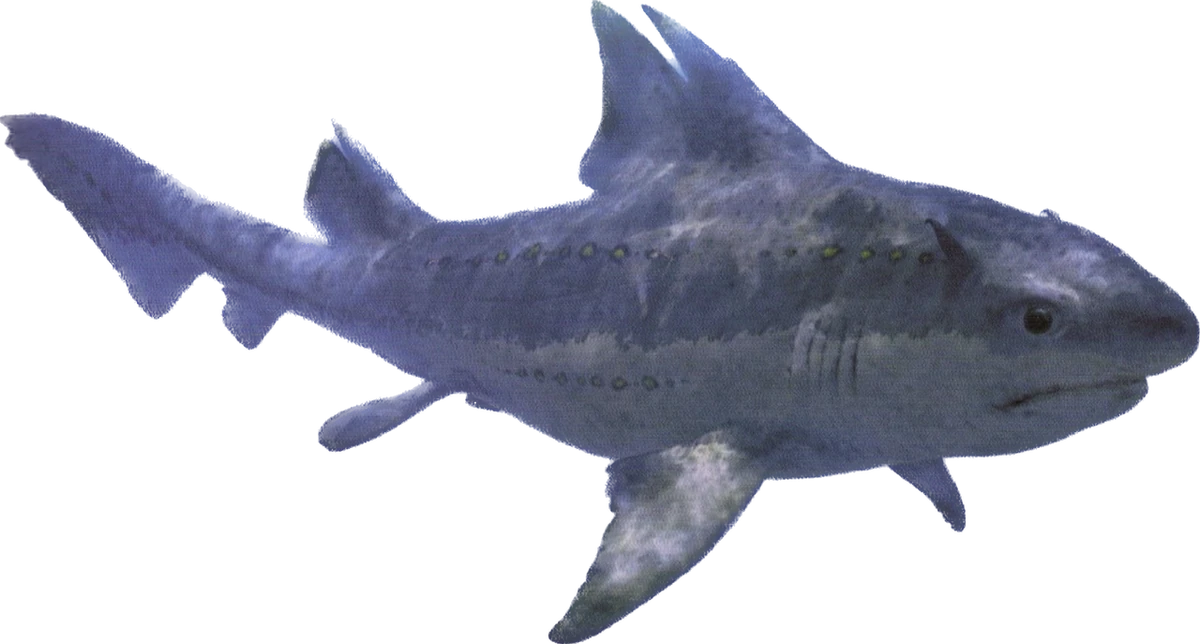 Hybodus | New ideas by Matt Weaver Wiki | Fandom