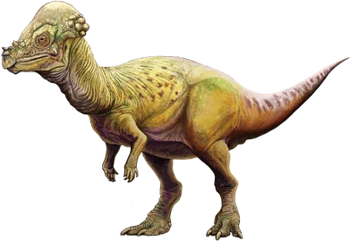 Pachycephalosaurus-Dinosaur Planet remake | New ideas by Matt Weaver Wiki | Fandom
