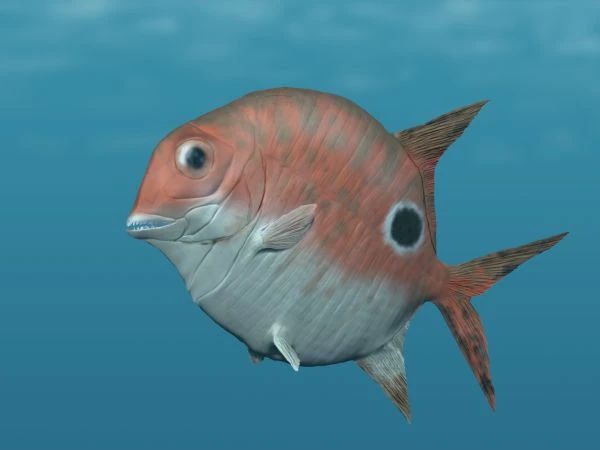 Gyrodus | New ideas by Matt Weaver Wiki | Fandom