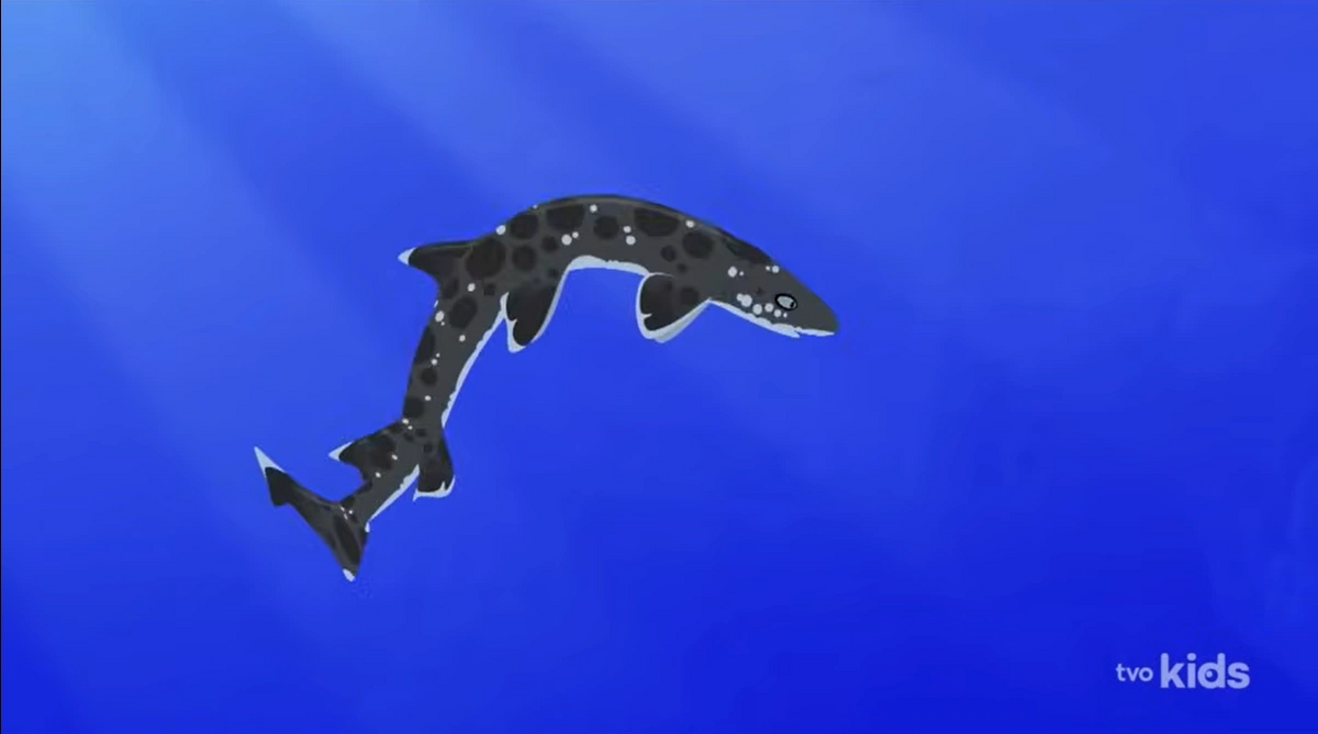 Coral Catshark Wild Kratts New Ideas By Matt Weaver Wiki Fandom