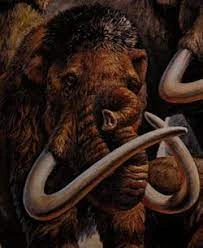 Woolly mammoth facts-Wild Kratts prehistoric | New ideas by Matt Weaver ...