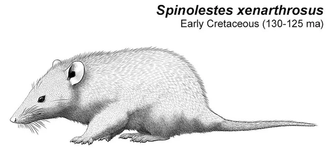 Spinolestes | New ideas by Matt Weaver Wiki | Fandom