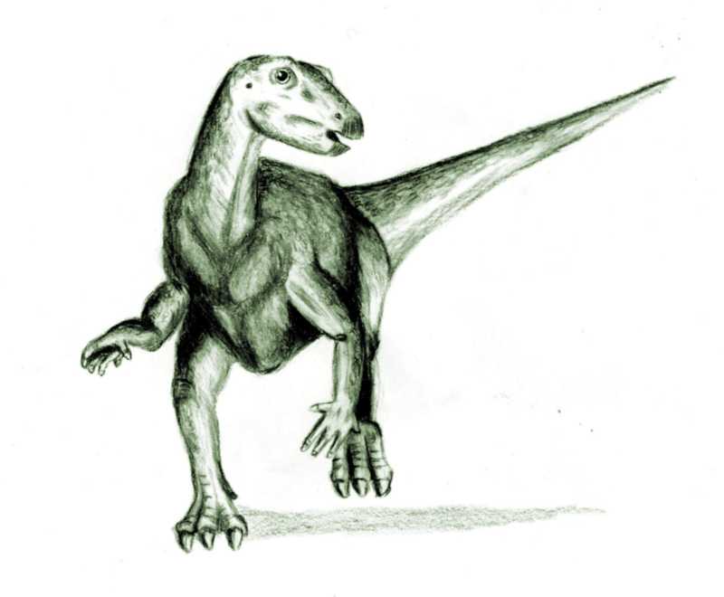 Thescelosaurus Dinosaur Planet Remake New Ideas By Matt Weaver Wiki
