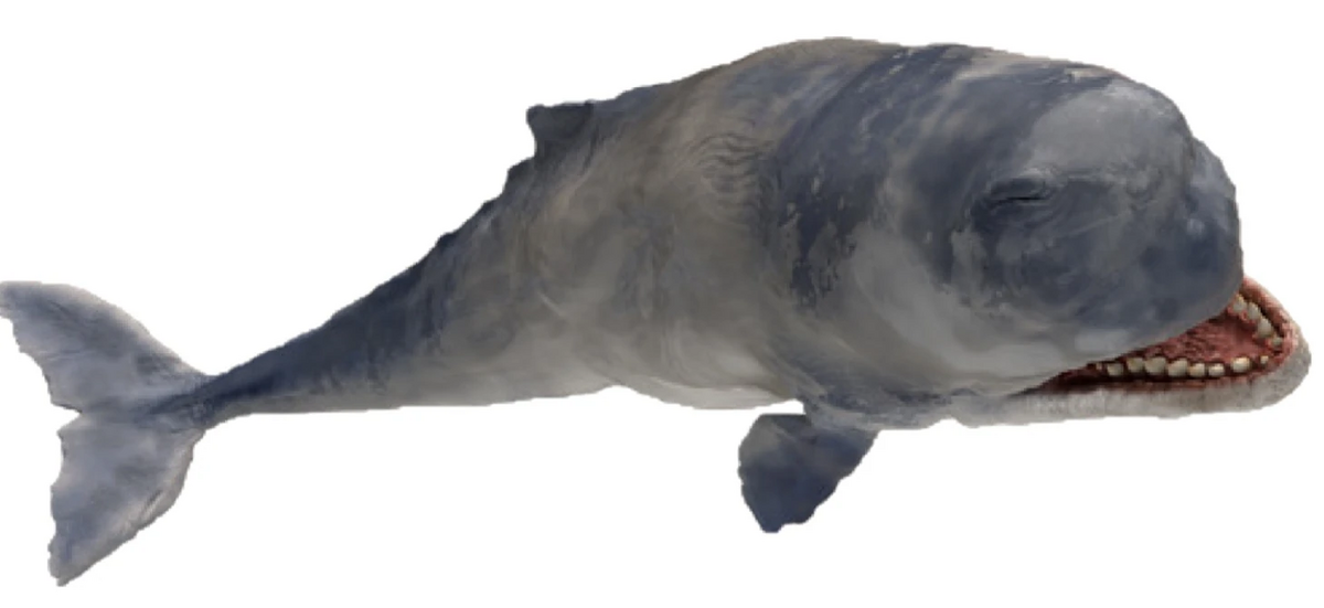 Larry Livyatan Splash And Bubbles Prehistoric New Ideas By Matt