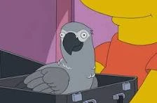 PARROTS FROM WILD PUFFALUMPS | New ideas by Matt Weaver Wiki | Fandom