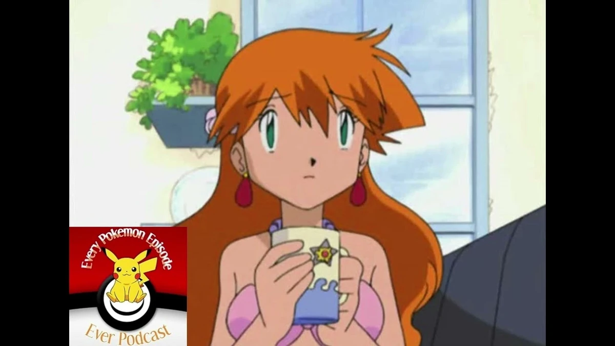 Pokemon the Misty Mermaid-a Pokemon series custom funding | New ideas ...