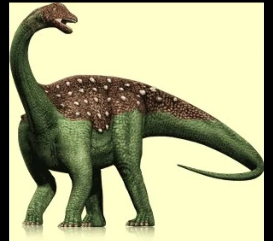 Saltasaurus | New ideas by Matt Weaver Wiki | Fandom