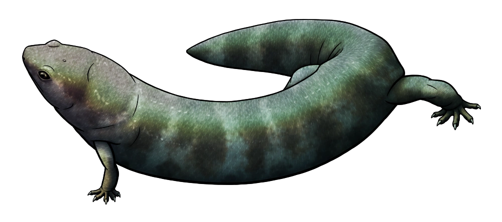 Joermungandr bolti | New ideas by Matt Weaver Wiki | Fandom