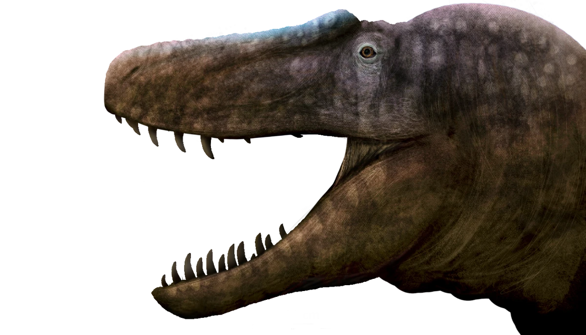 Daspletosaurus | New ideas by Matt Weaver Wiki | Fandom