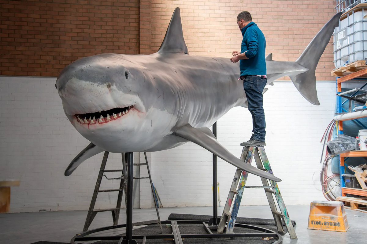 Stanford Shark Ridley Jones New Ideas By Matt Weaver Wiki Fandom