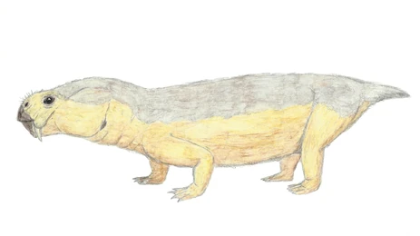 Wild kratts prehistoric preview-digging with Diictodon | New ideas by ...