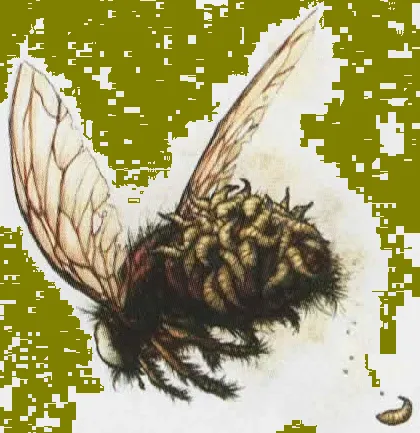 Furry maggot-fly | New ideas by Matt Weaver Wiki | Fandom