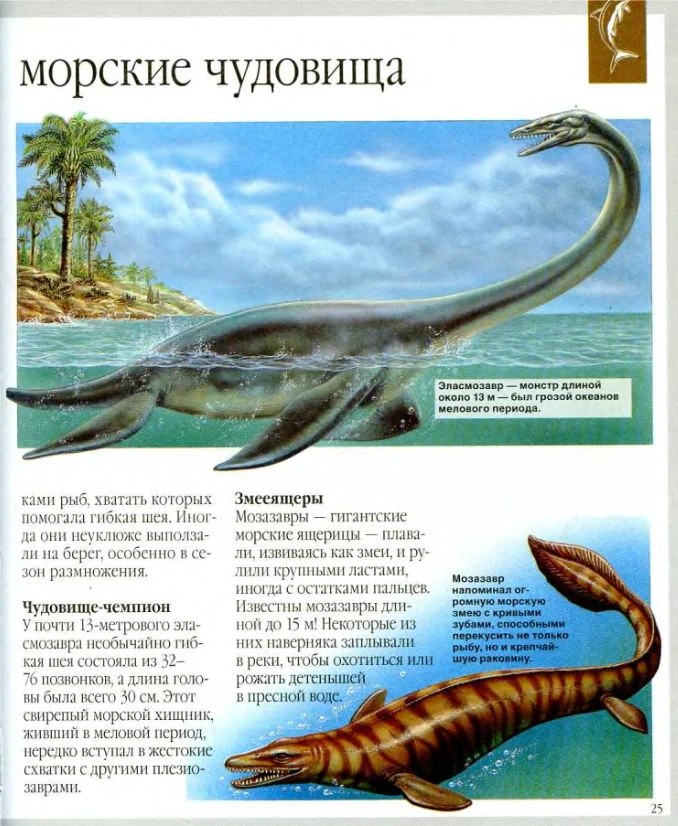 Category:Plesiosaurs | New ideas by Matt Weaver Wiki | Fandom