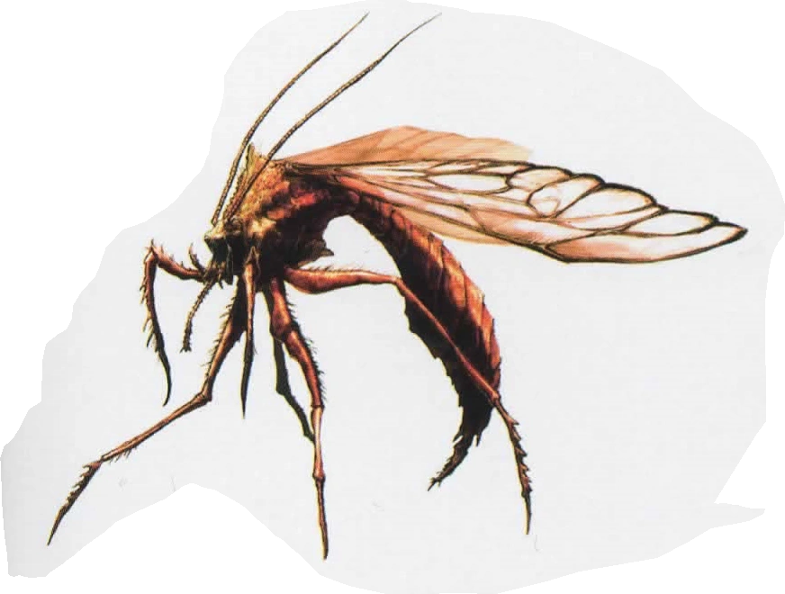 Wild-gnat | New ideas by Matt Weaver Wiki | Fandom