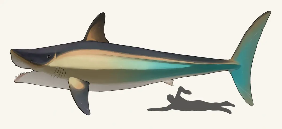 Edestus | New ideas by Matt Weaver Wiki | Fandom