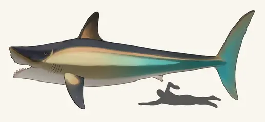 Edestus | New ideas by Matt Weaver Wiki | Fandom
