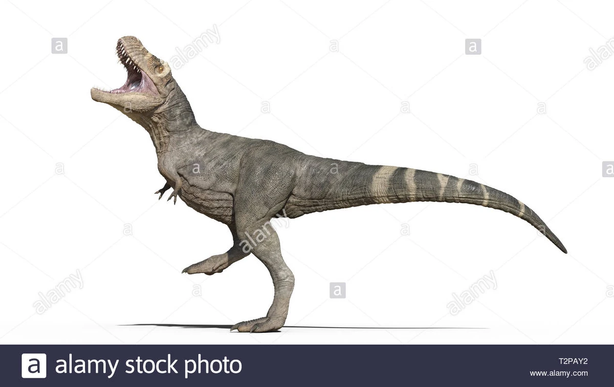 Tyra Tyrannosaurus-splash and bubbles prehistoric | New ideas by Matt ...