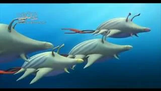 Reef glider | New ideas by Matt Weaver Wiki | Fandom