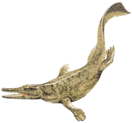 Mel Metriorhynchus-splash and bubbles prehistoric | New ideas by Matt ...