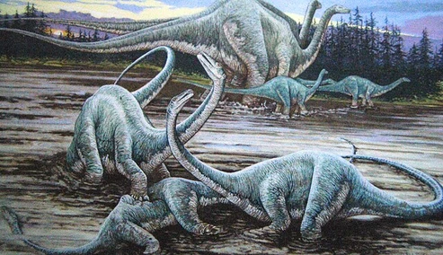 Musankwa | New ideas by Matt Weaver Wiki | Fandom