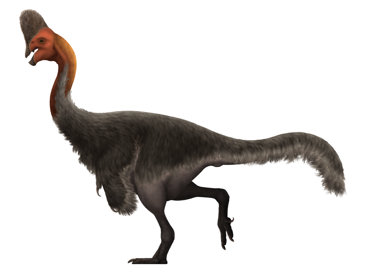 New Jurassic Kratts Episodes 2 New Ideas By Matt Weaver Wiki Fandom