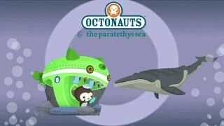 The Paratethys sea-octonauts | New ideas by Matt Weaver Wiki | Fandom
