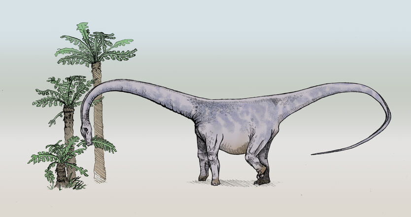 Barosaurus-Dinosaur planet remake | New ideas by Matt Weaver Wiki | Fandom