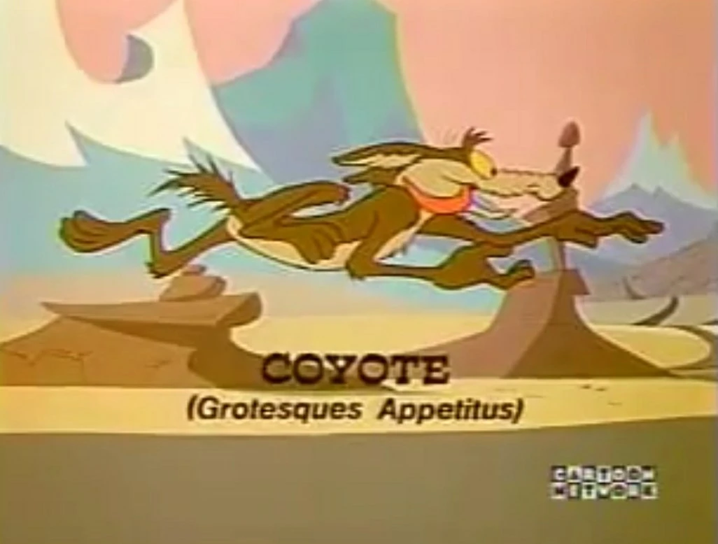 Road Runner and Wile E. Coyote latin translations | New ideas by Matt ...