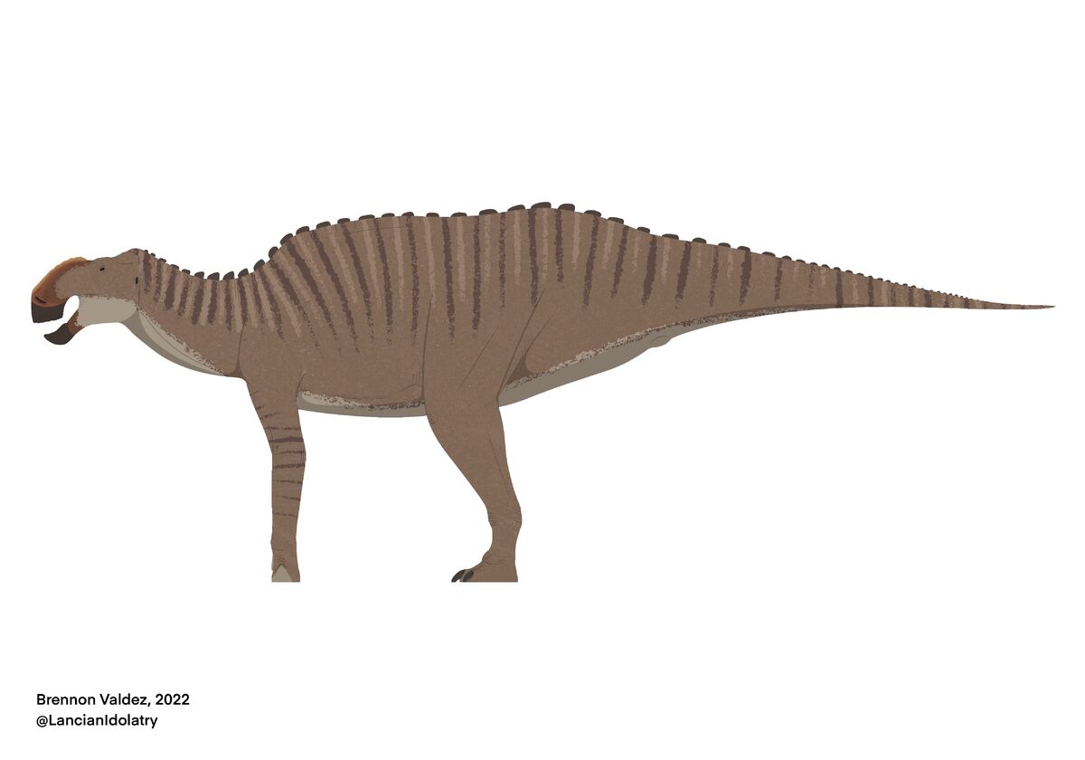 Gryposaurus Preview Wild Kratts Prehistoric New Ideas By Matt Weaver