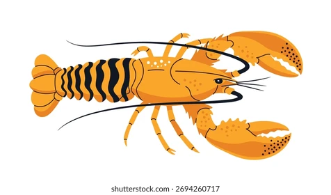 LOBSTERS-sim Sala-grimm reboot | New ideas by Matt Weaver Wiki | Fandom