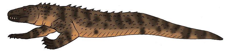 Pit-lizard Scar Isle | New ideas by Matt Weaver Wiki | Fandom