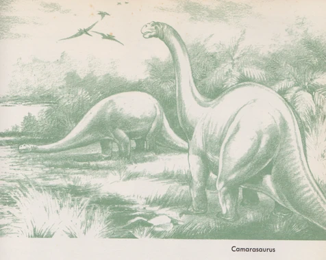 The Strange World of Dinosaurs-Sauropods | New ideas by Matt Weaver ...