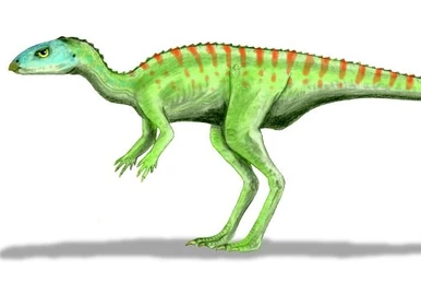 Dinosaur King Pinacosaurus