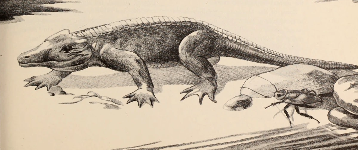 Protosuchus power-Jurassic kratts | New ideas by Matt Weaver Wiki | Fandom